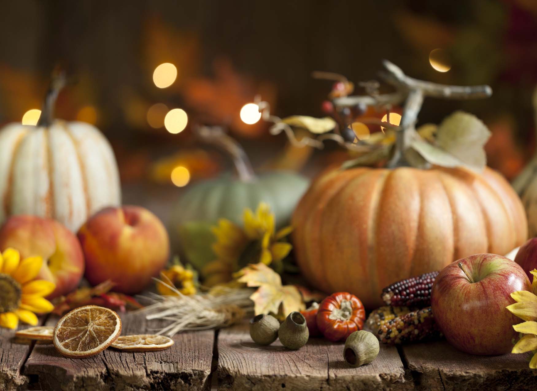 Top des légumes d'automne à faire découvrir aux enfants - Eureden ...